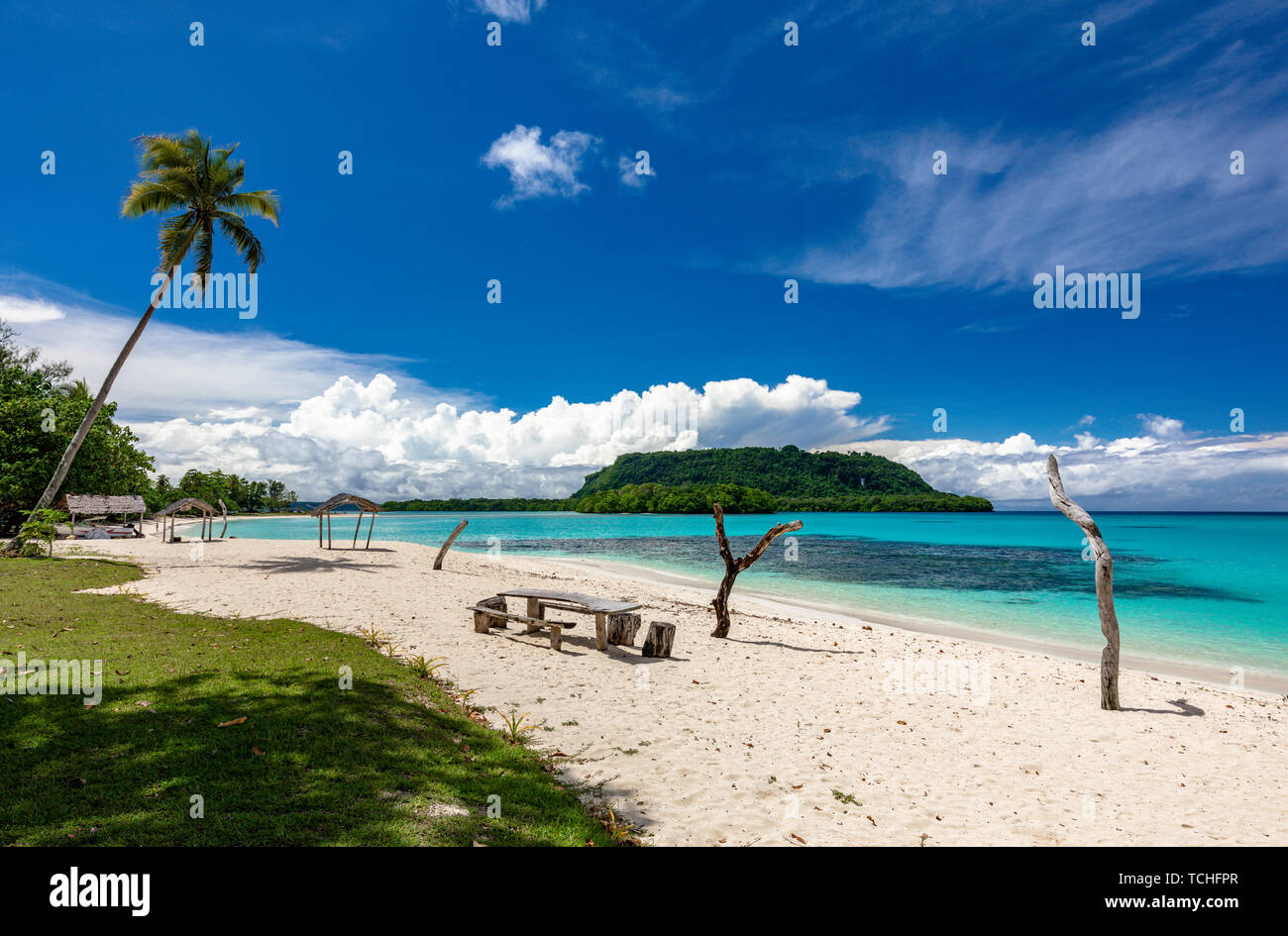 Amazing Port Orly sandy beach with palm trees, Espiritu Santo Island ...