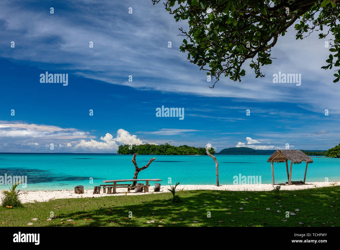 Amazing Port Orly sandy beach with palm trees, Espiritu Santo Island ...