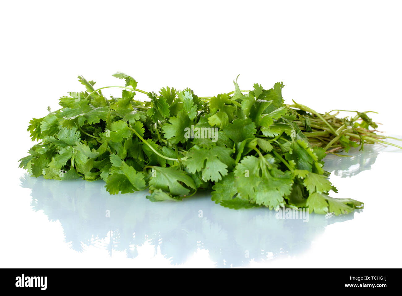 Coriander growing Cut Out Stock Images & Pictures - Alamy
