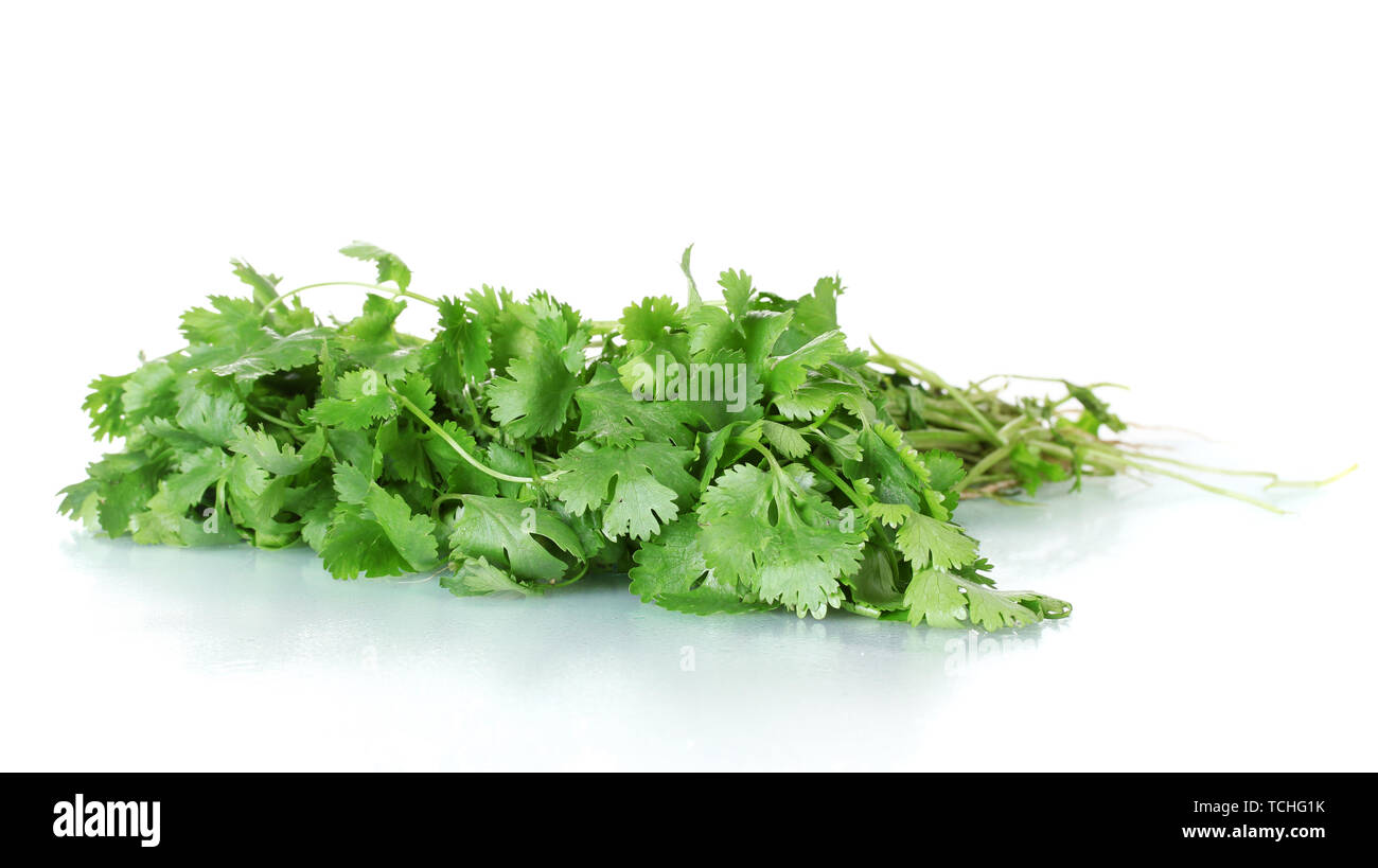 Coriander growing Cut Out Stock Images & Pictures - Alamy