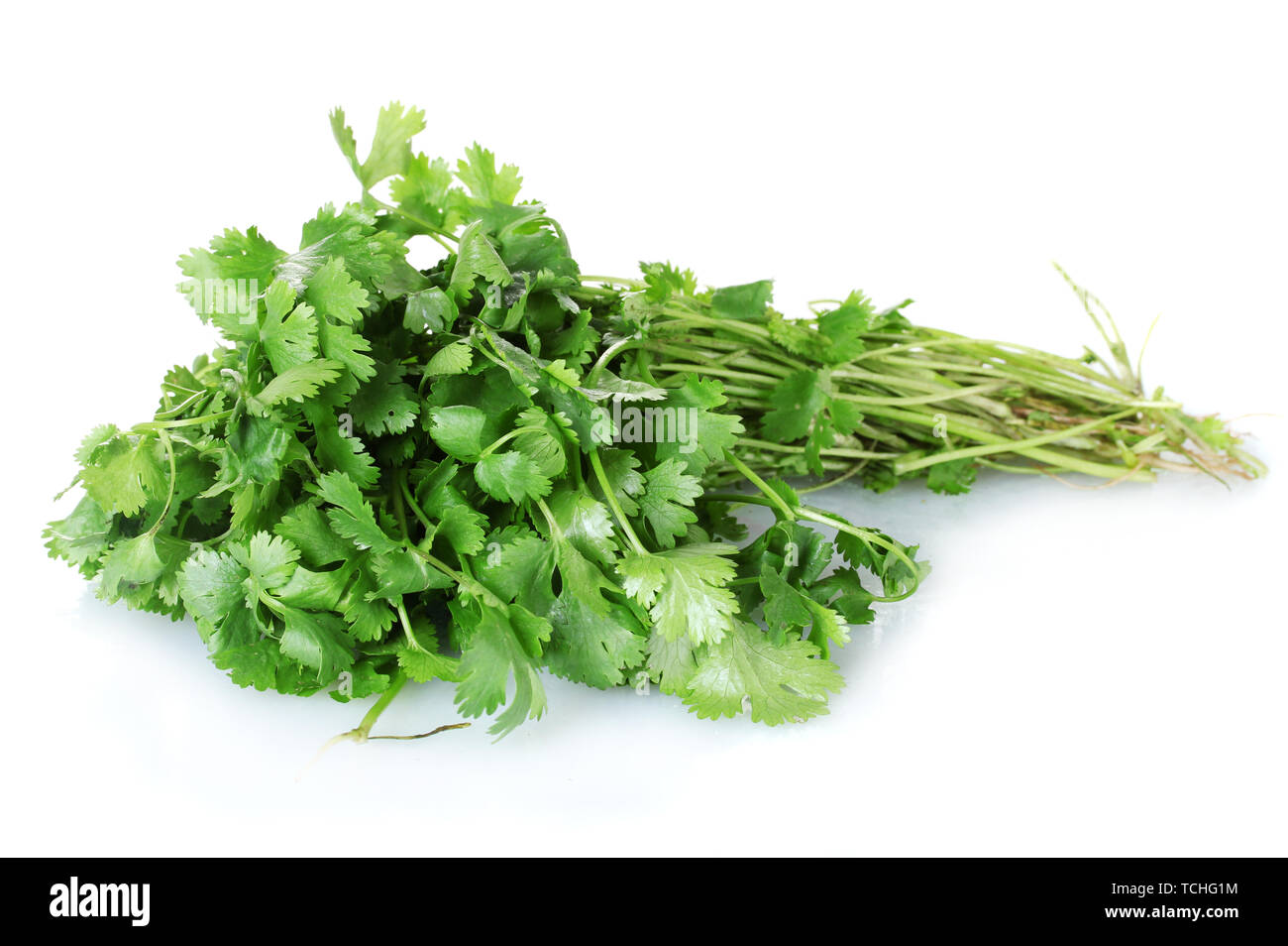 coriander isolated on white Stock Photo - Alamy