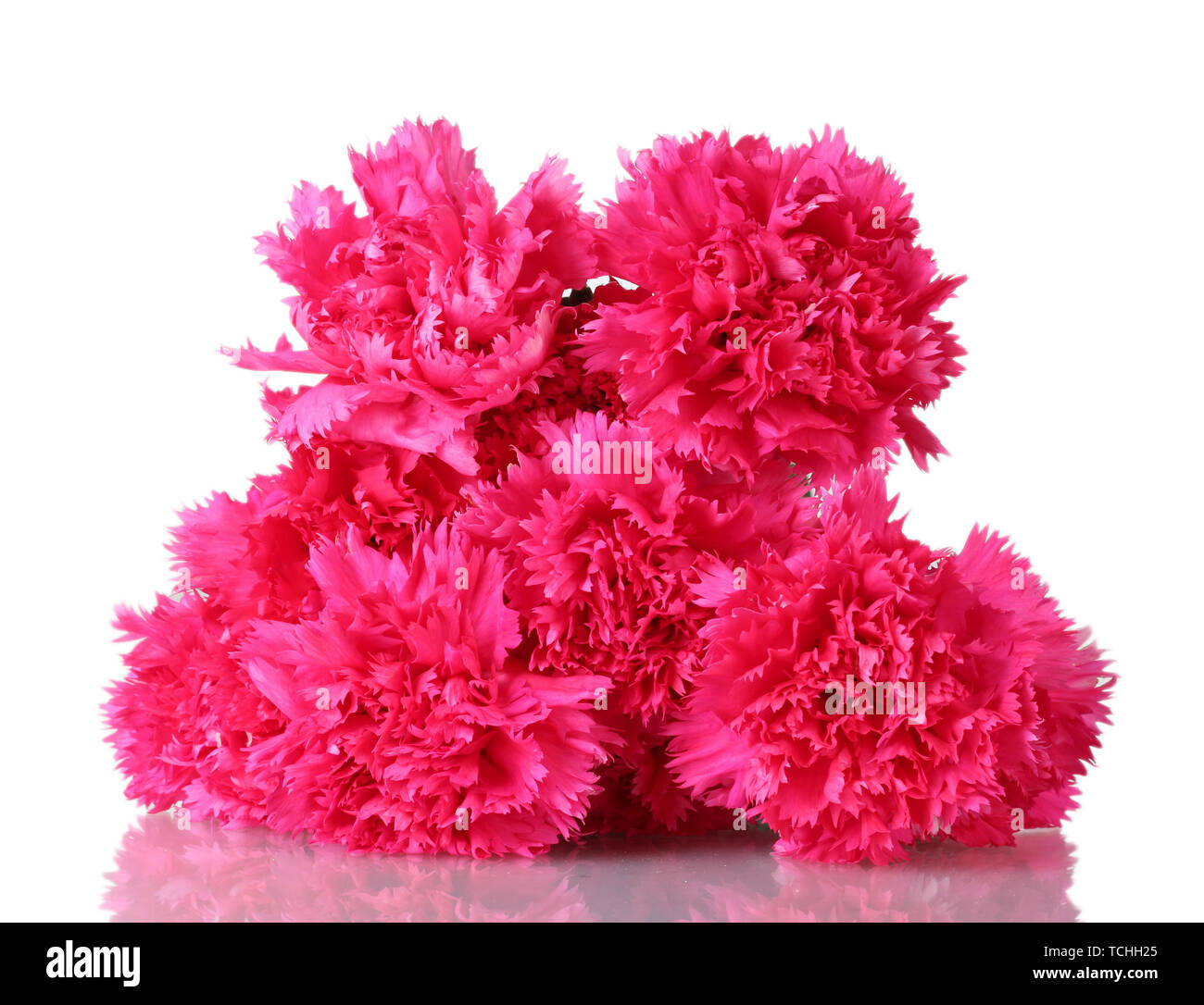 Three pink carnations hi-res stock photography and images - Alamy
