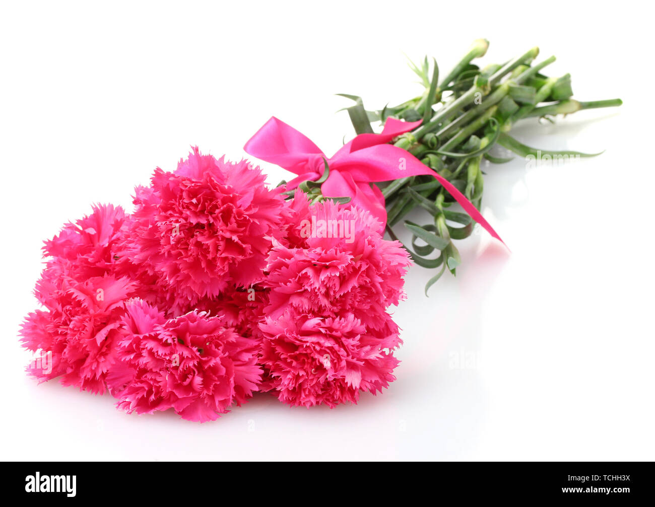 Three pink carnations Cut Out Stock Images & Pictures - Alamy