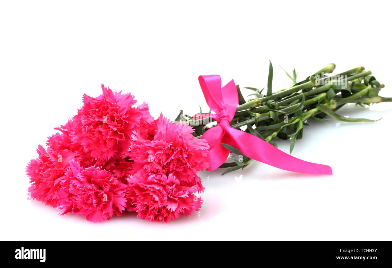 Three pink carnations Cut Out Stock Images & Pictures - Alamy