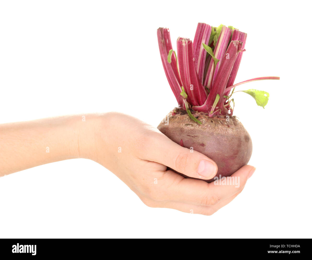 Young red beet in hand isolated on white Stock Photo - Alamy