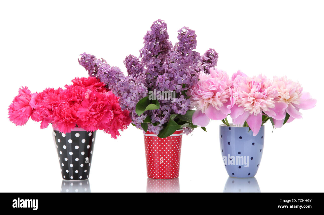 beautiful spring flowers in cups isolated on white Stock Photo - Alamy