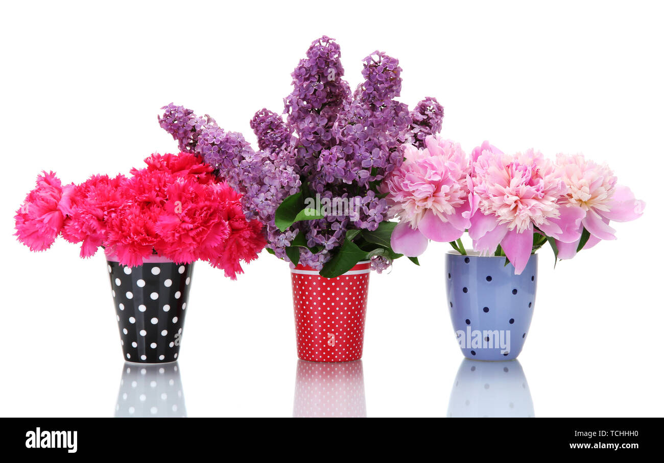 beautiful spring flowers in cups isolated on white Stock Photo - Alamy