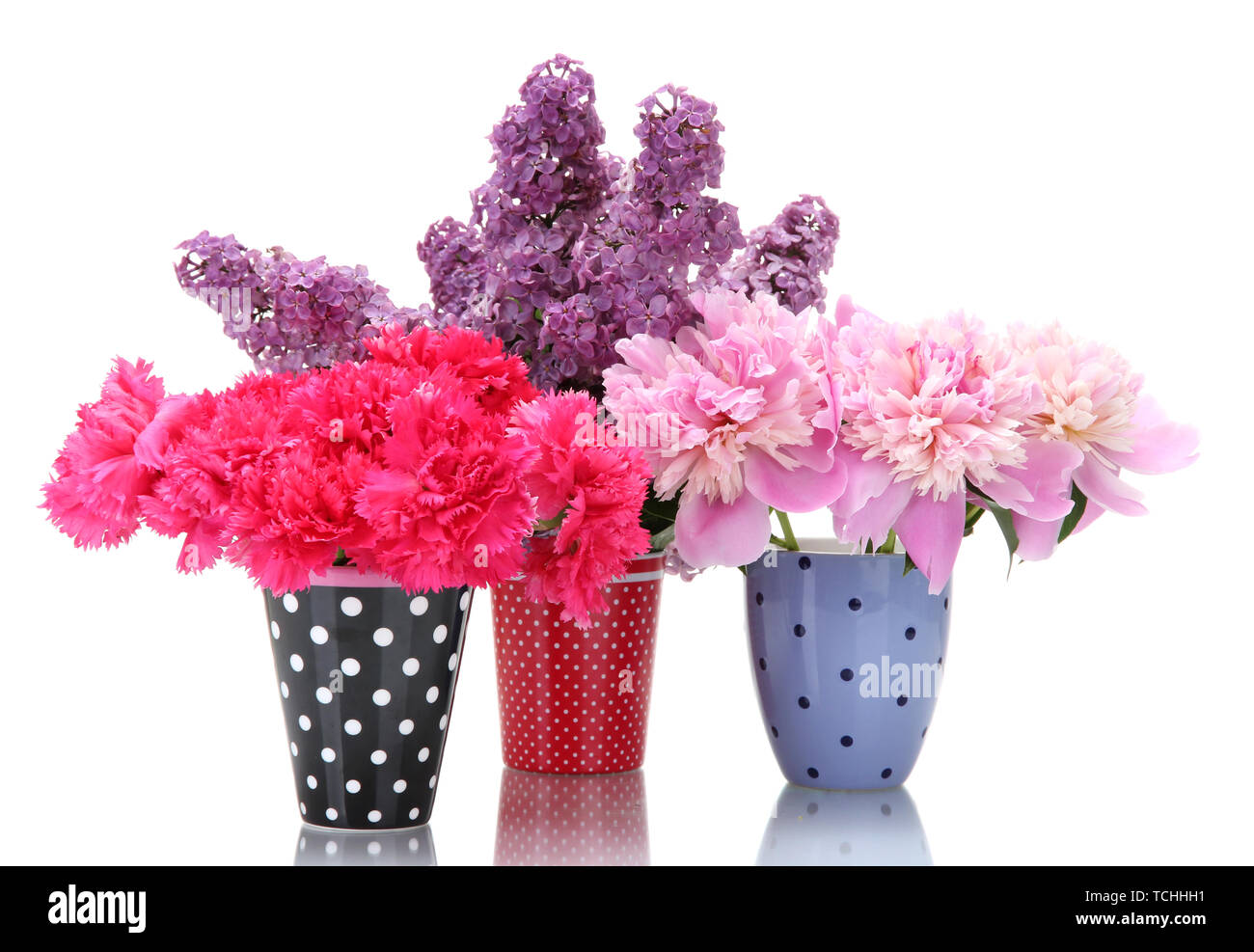 beautiful spring flowers in cups isolated on white Stock Photo - Alamy