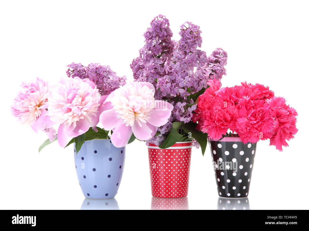 beautiful spring flowers in cups isolated on white Stock Photo - Alamy