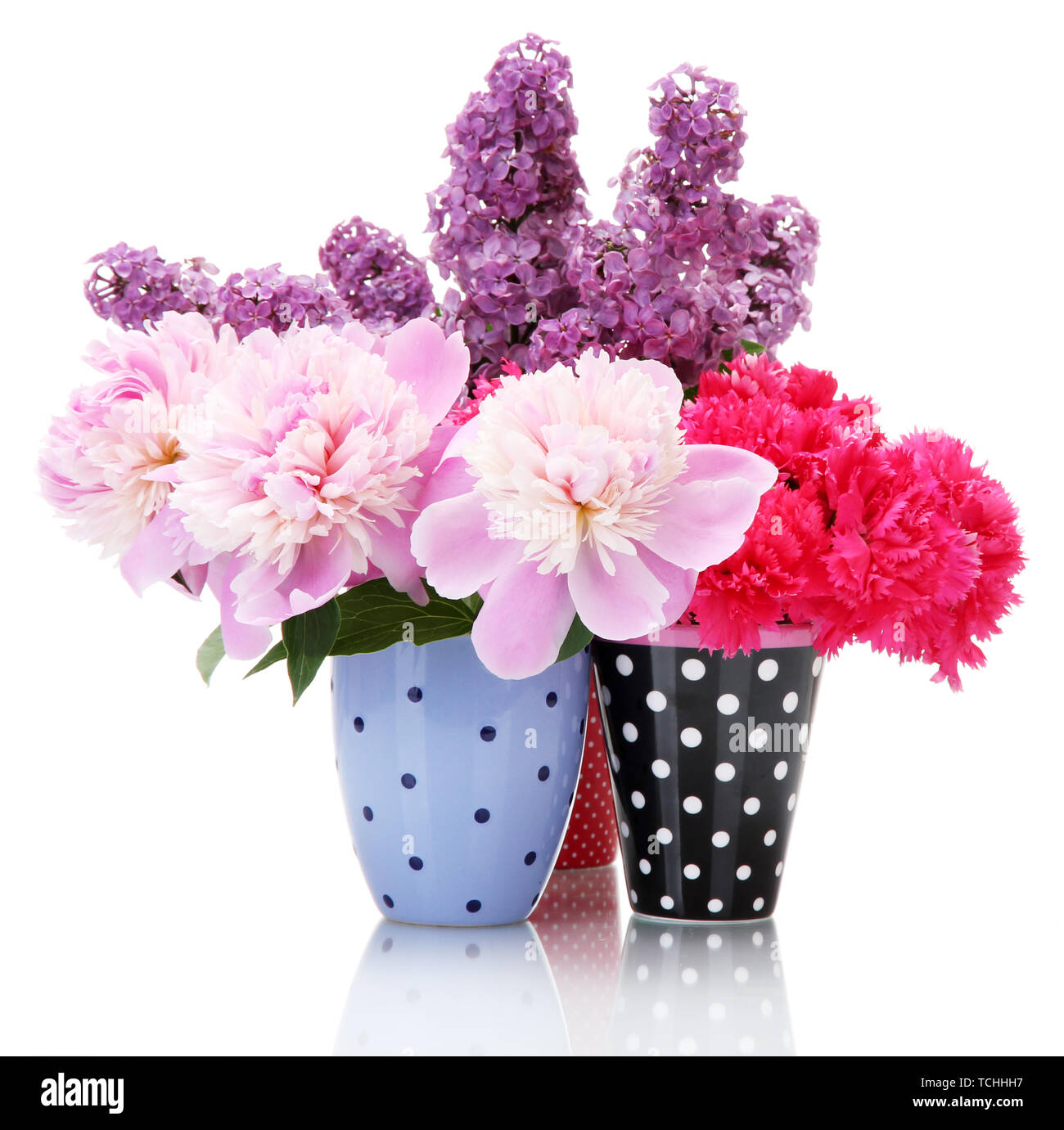 beautiful spring flowers in cups isolated on white Stock Photo - Alamy