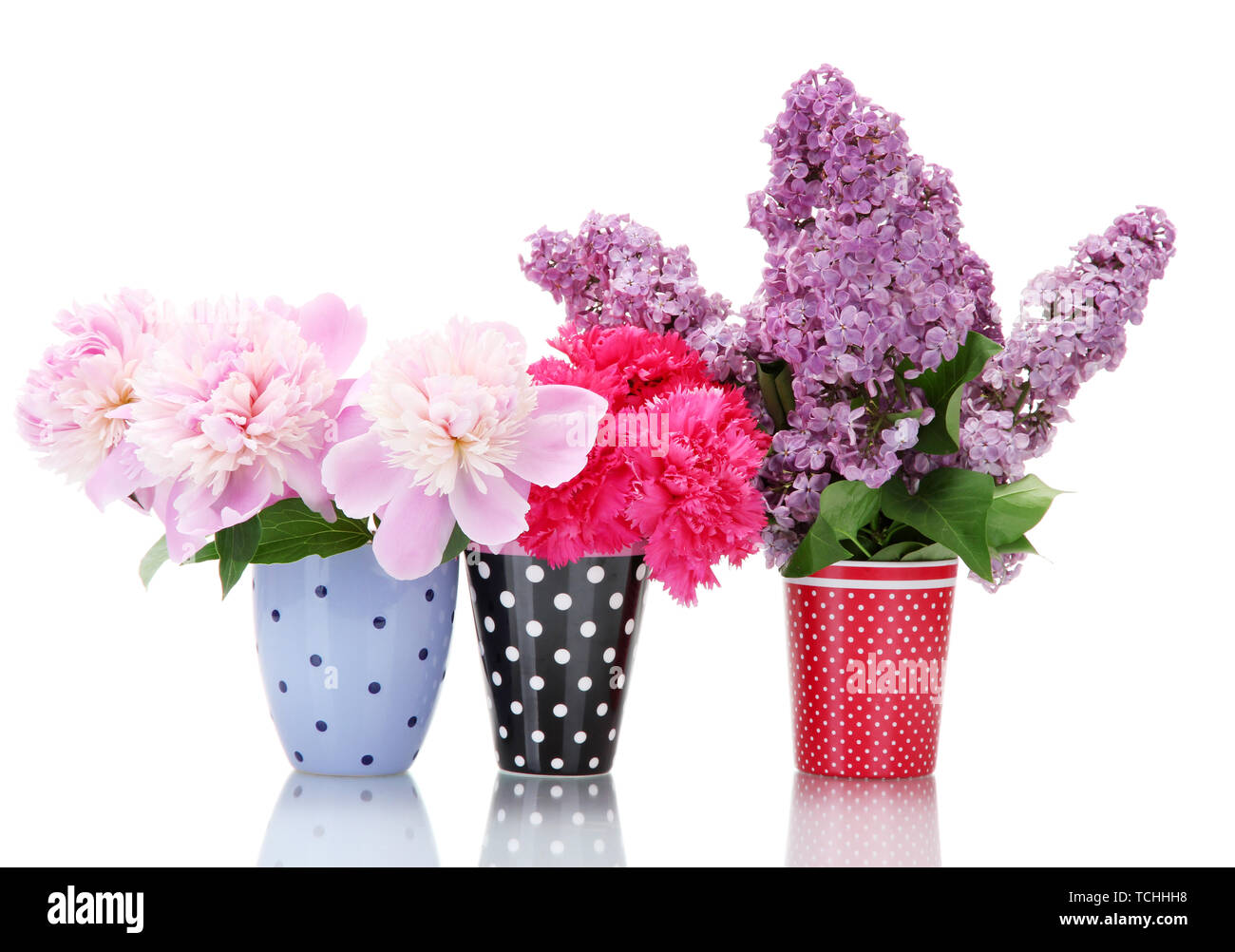 beautiful spring flowers in cups isolated on white Stock Photo - Alamy