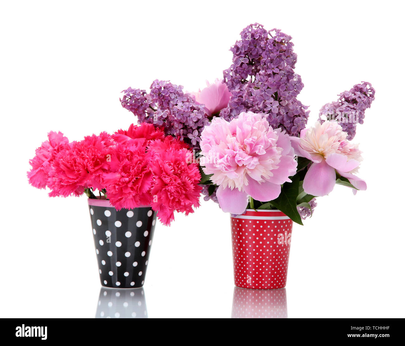 beautiful spring flowers in cups isolated on white Stock Photo - Alamy