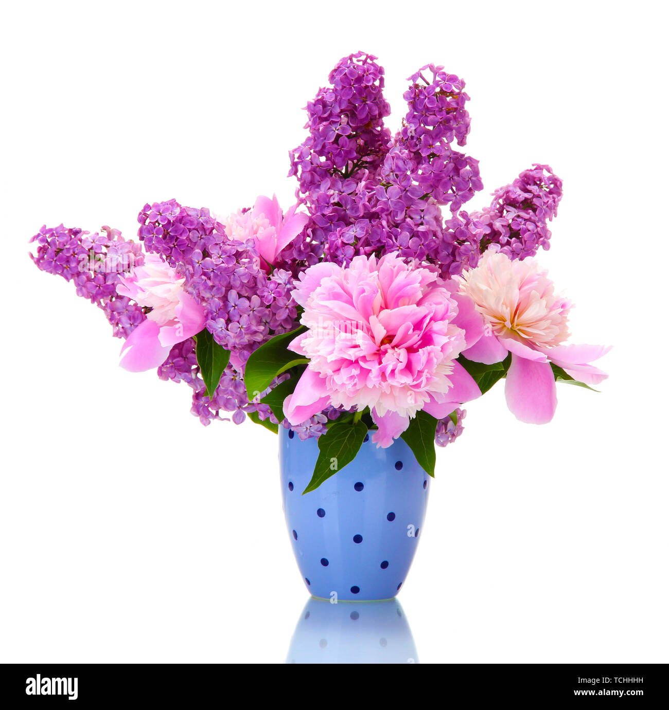 beautiful spring flowers in cup isolated on white Stock Photo - Alamy