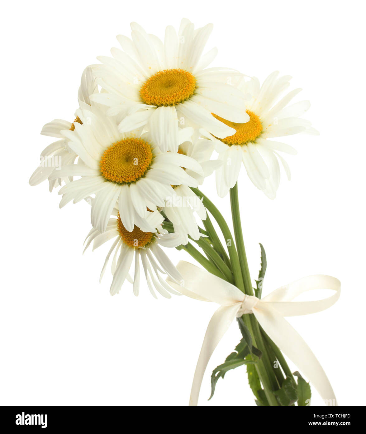 beautiful daisies flowers isolated on white Stock Photo - Alamy