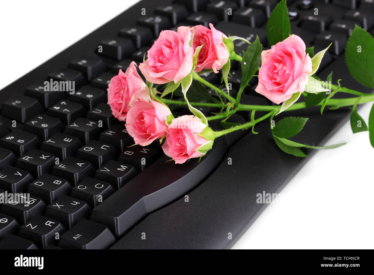 Pink roses on keyboard close-up internet communication Stock Photo - Alamy
