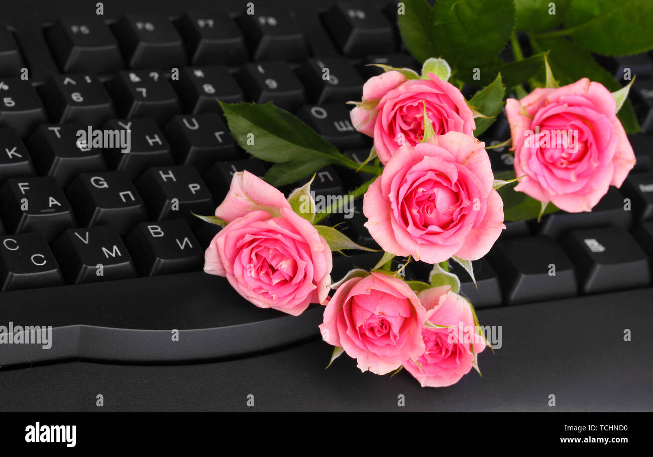 Pink roses on keyboard close-up internet communication Stock Photo - Alamy