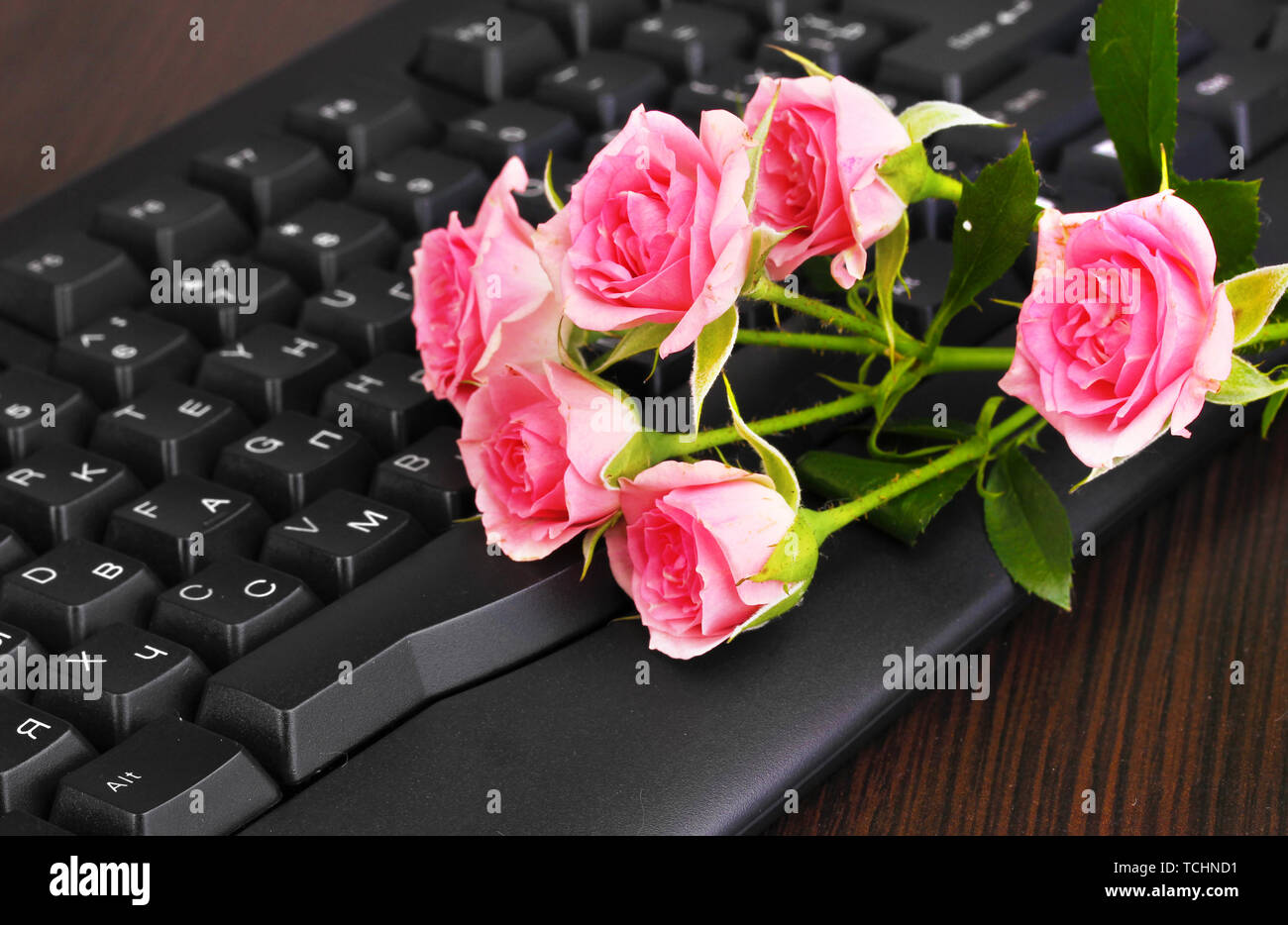 Pink roses on keyboard close-up internet communication Stock Photo - Alamy
