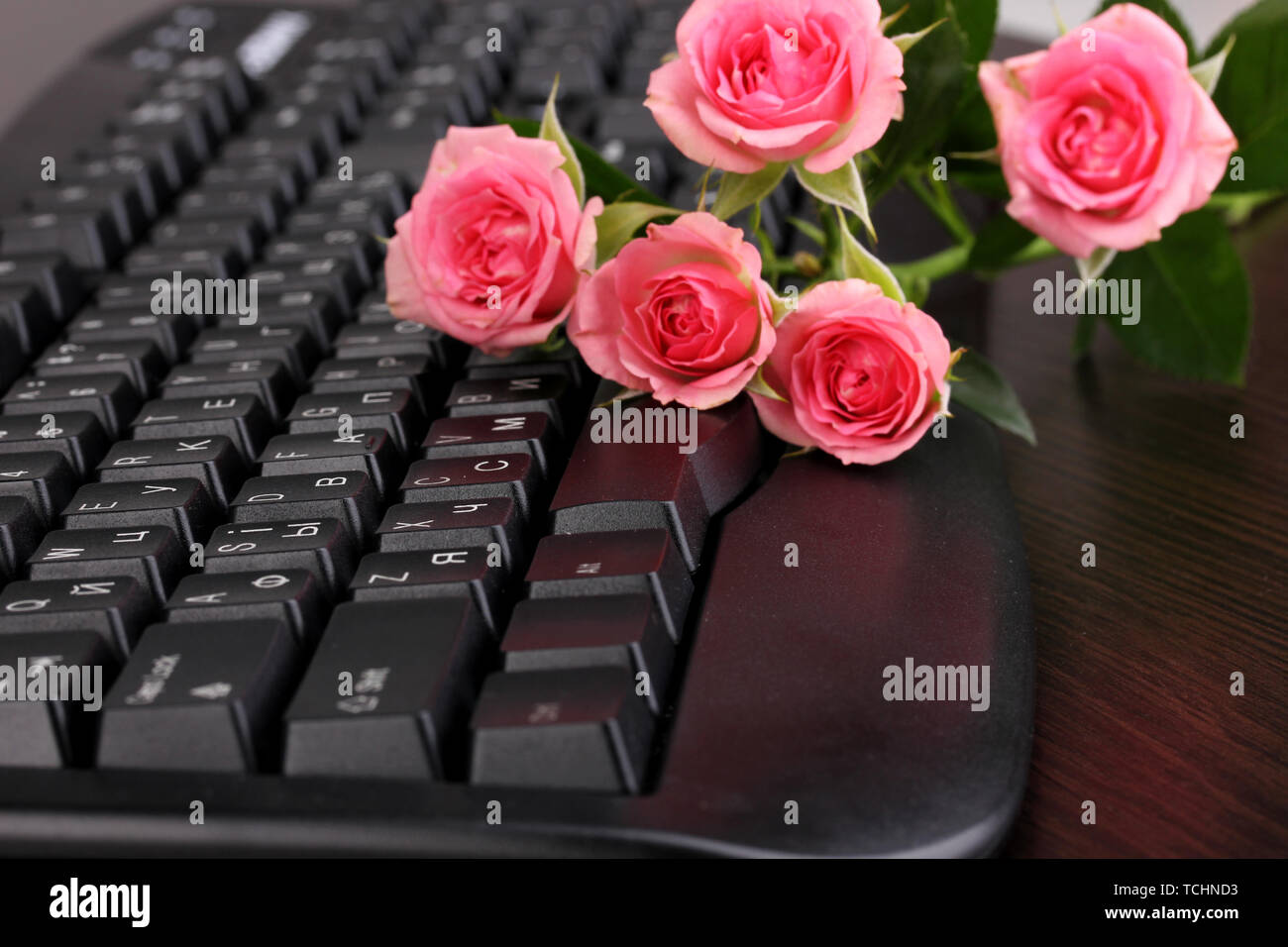 Pink roses on keyboard close-up internet communication Stock Photo - Alamy