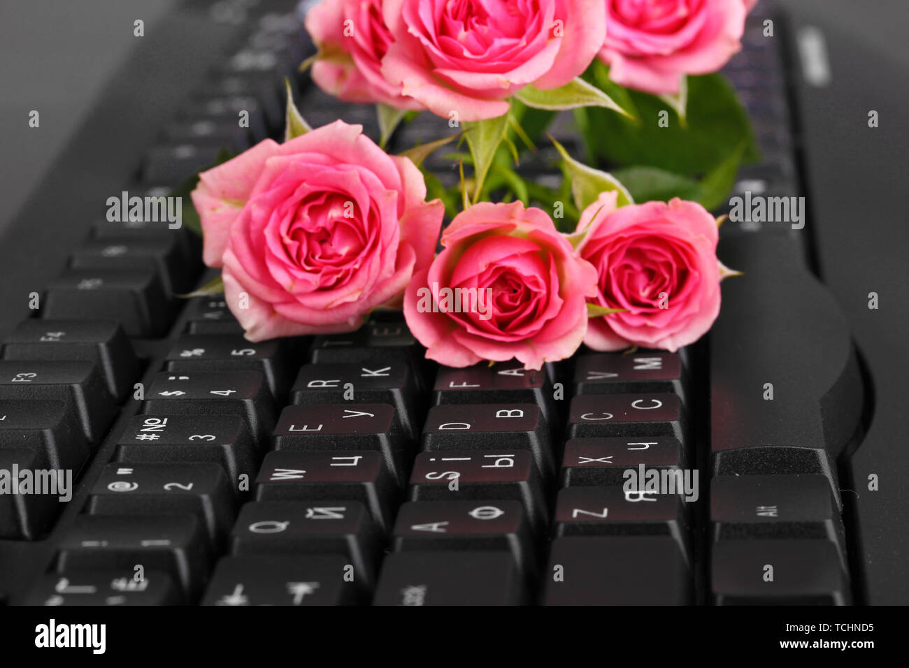 Pink roses on keyboard close-up internet communication Stock Photo - Alamy