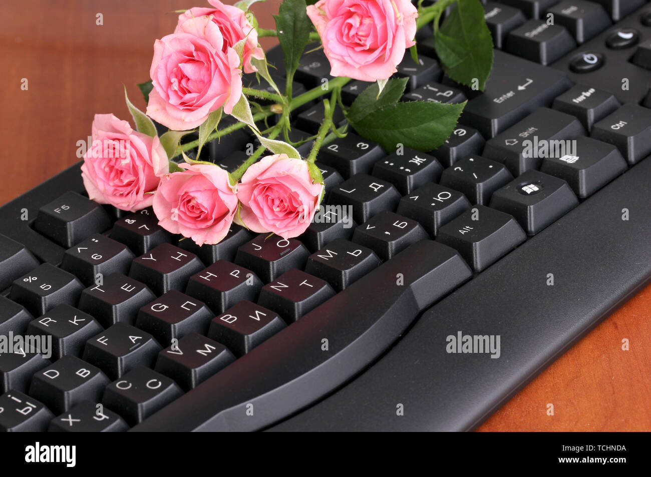 Pink roses on keyboard close-up internet communication Stock Photo - Alamy