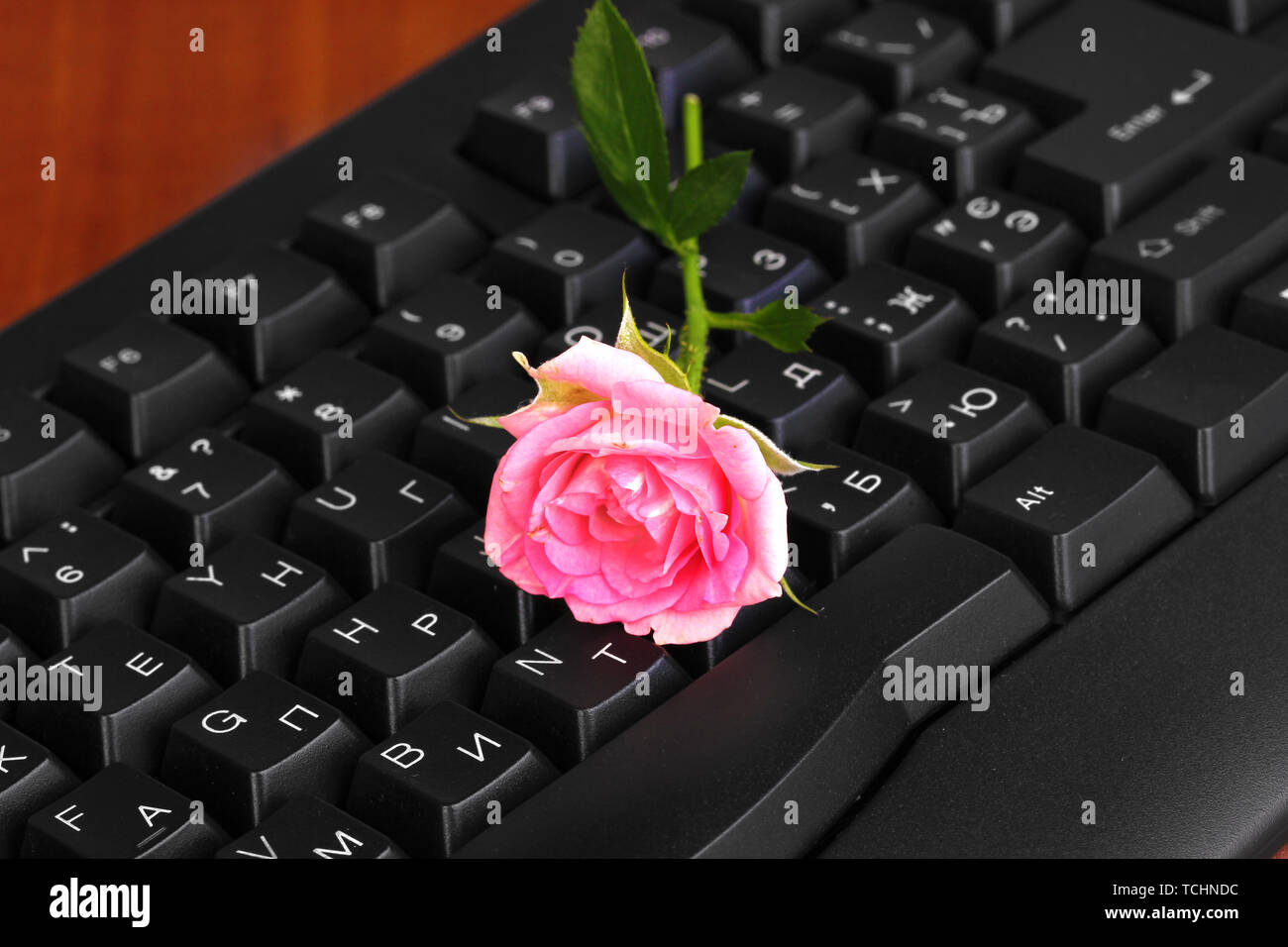 Blooms that talk hi-res stock photography and images - Alamy