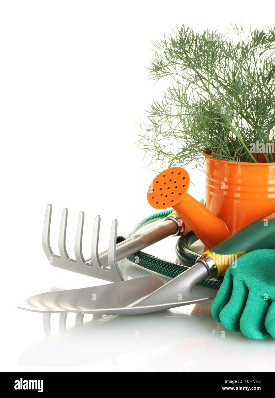 garden tools on white background close-up Stock Photo - Alamy