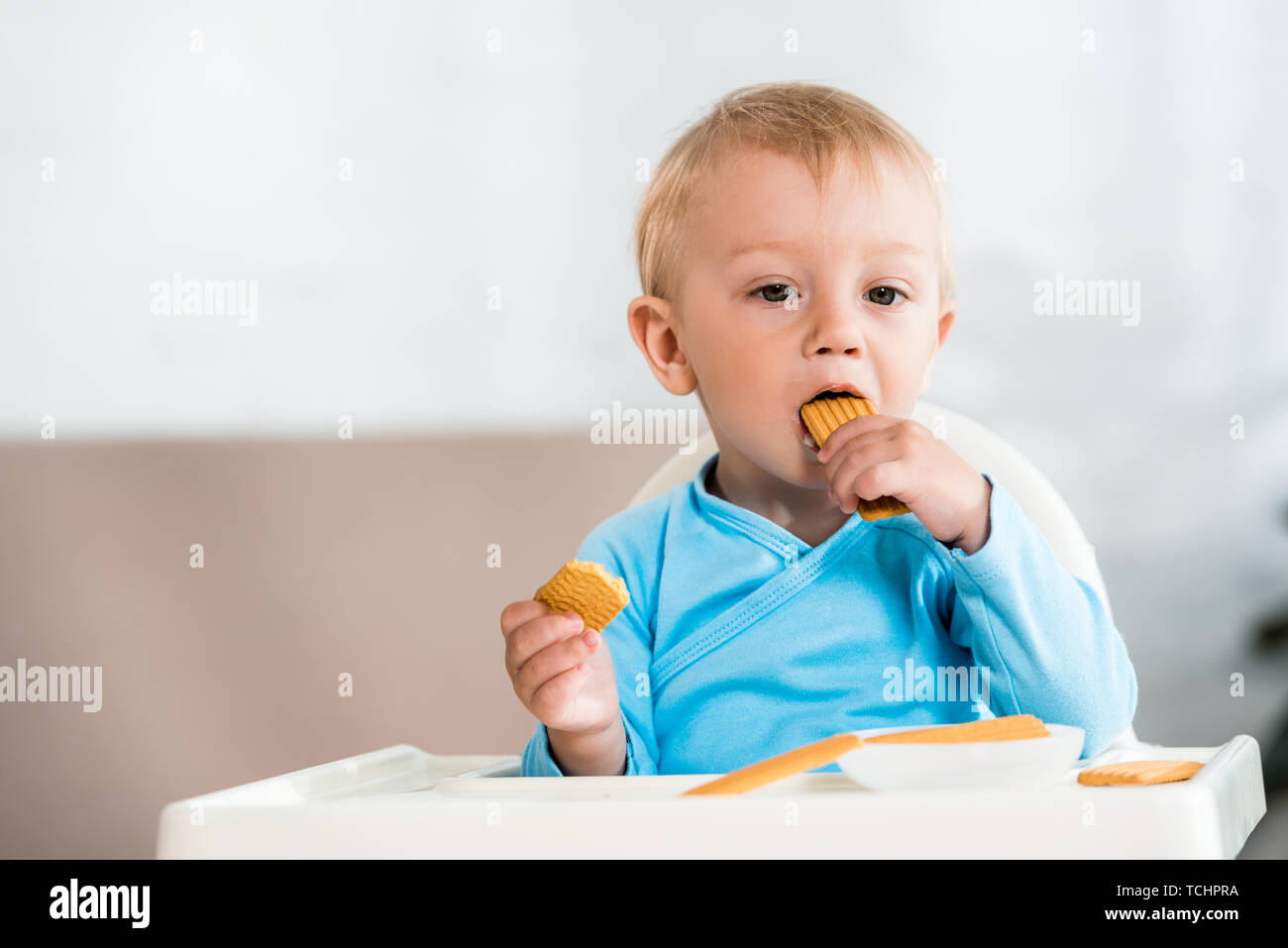cute toddler kid sitting in feeding chair and eating sweet cookies at ...