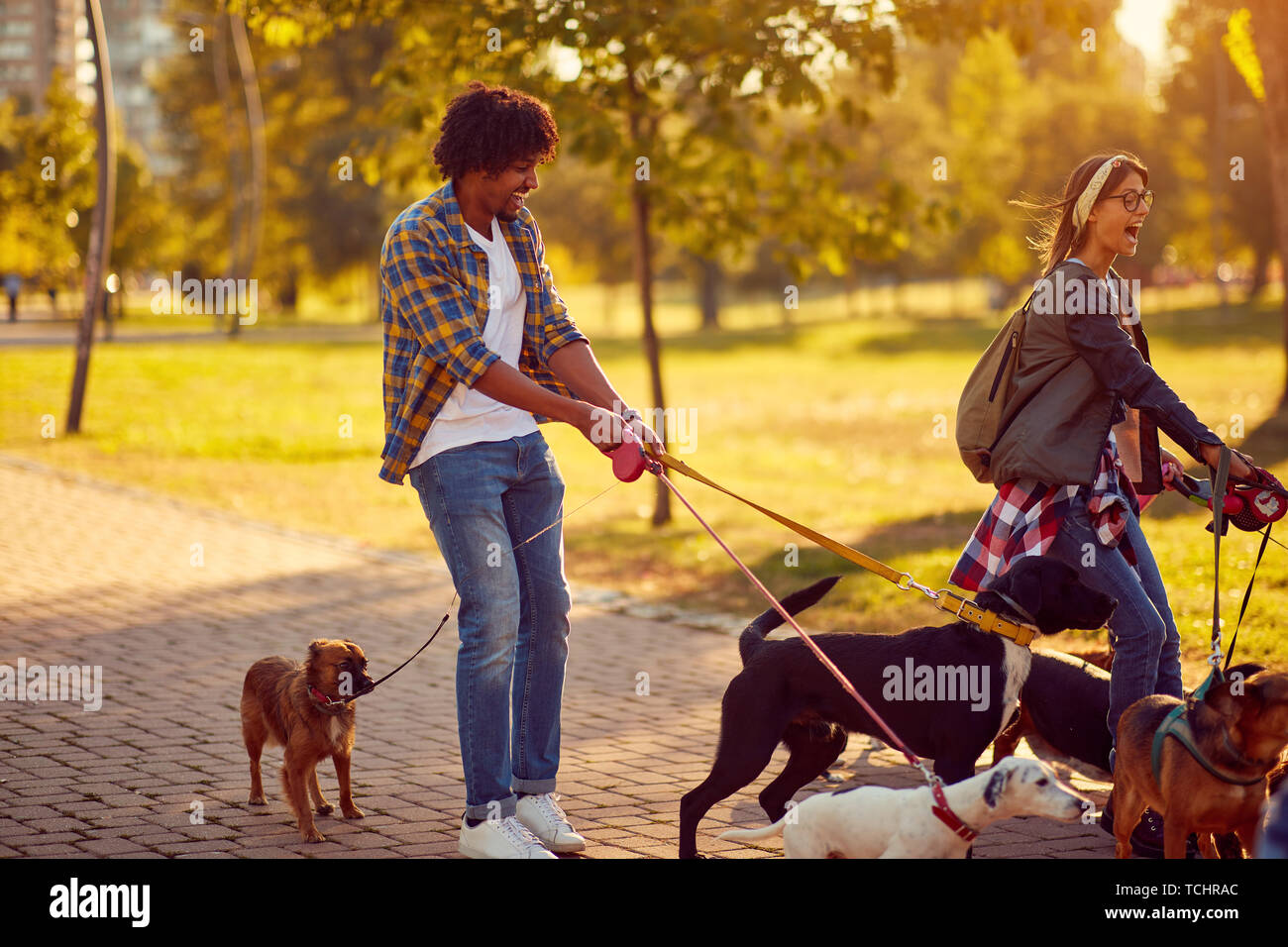 Professional Dog Walker - Happy group of dogs with couple dog walker ...