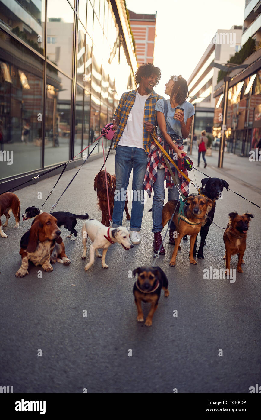 Dog is on leash hi-res stock photography and images - Alamy