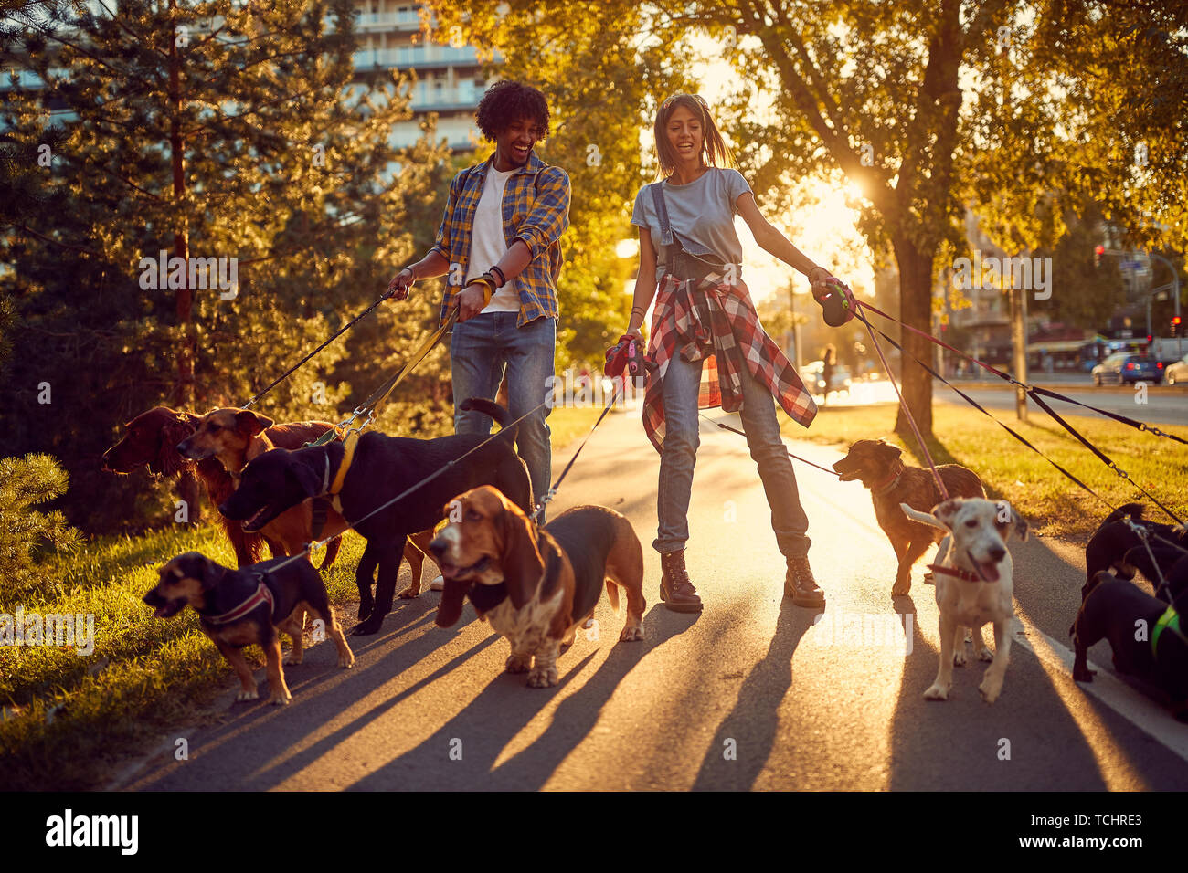 Dogs walkers hi-res stock photography and images - Alamy