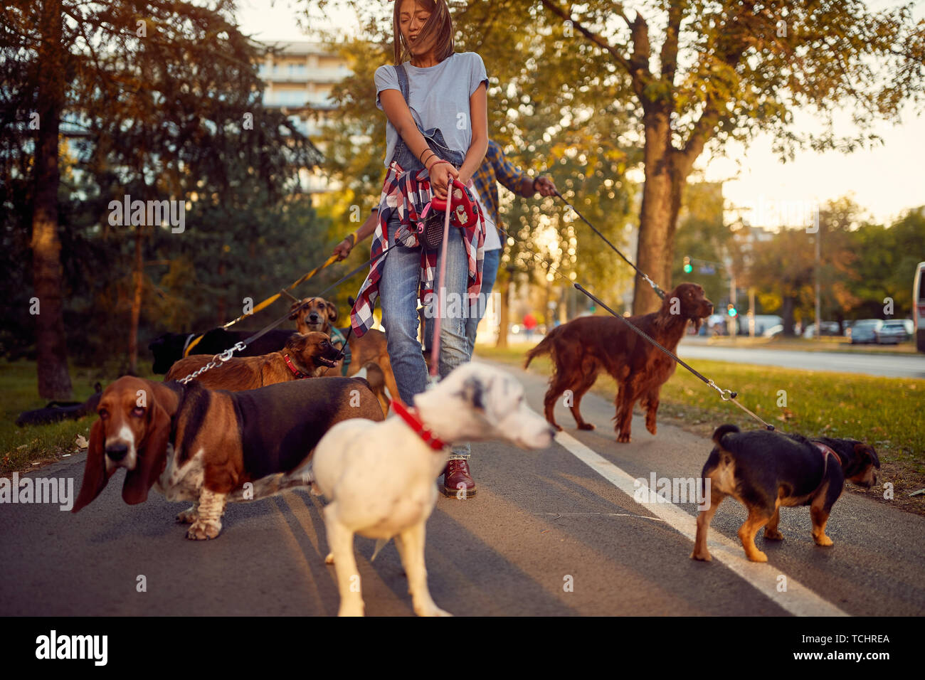 Funny walkers hi-res stock photography and images - Alamy