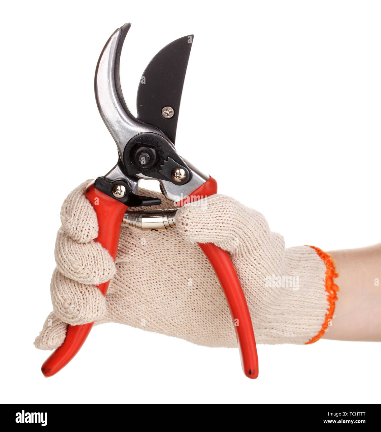 Pruner in hand isolated on white Stock Photo - Alamy