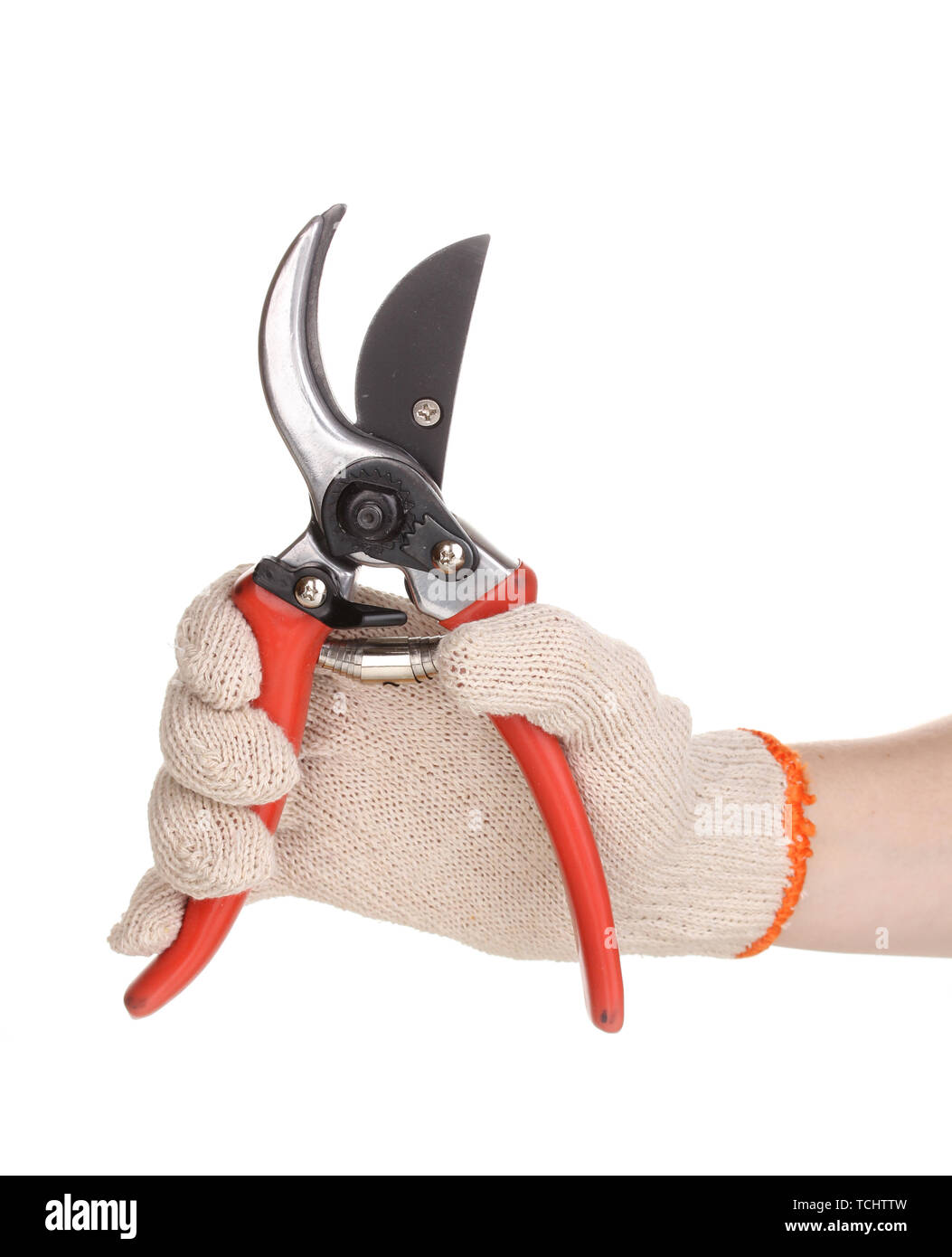 Pruner in hand isolated on white Stock Photo - Alamy