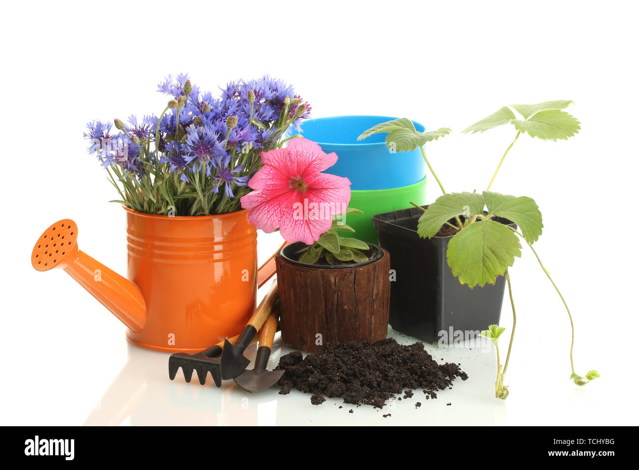 watering can, tools and plants in flowerpot isolated on white Stock ...