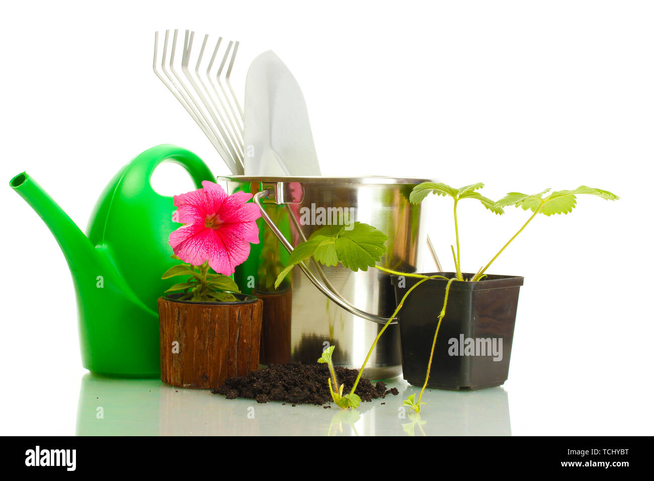 Watering can bucket tools hi-res stock photography and images - Alamy
