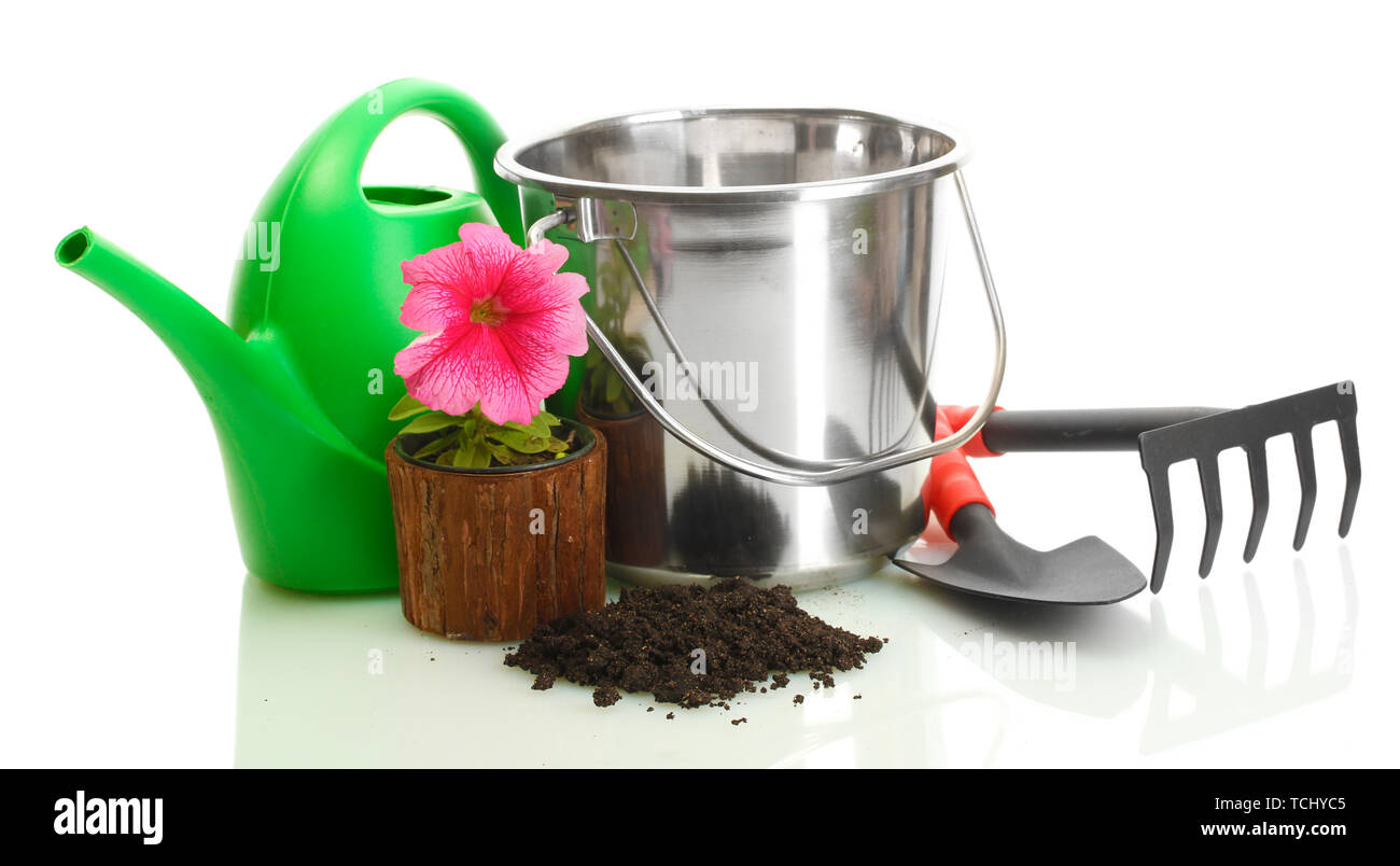 watering can, bucket, tools and plants in flowerpot isolated on white ...