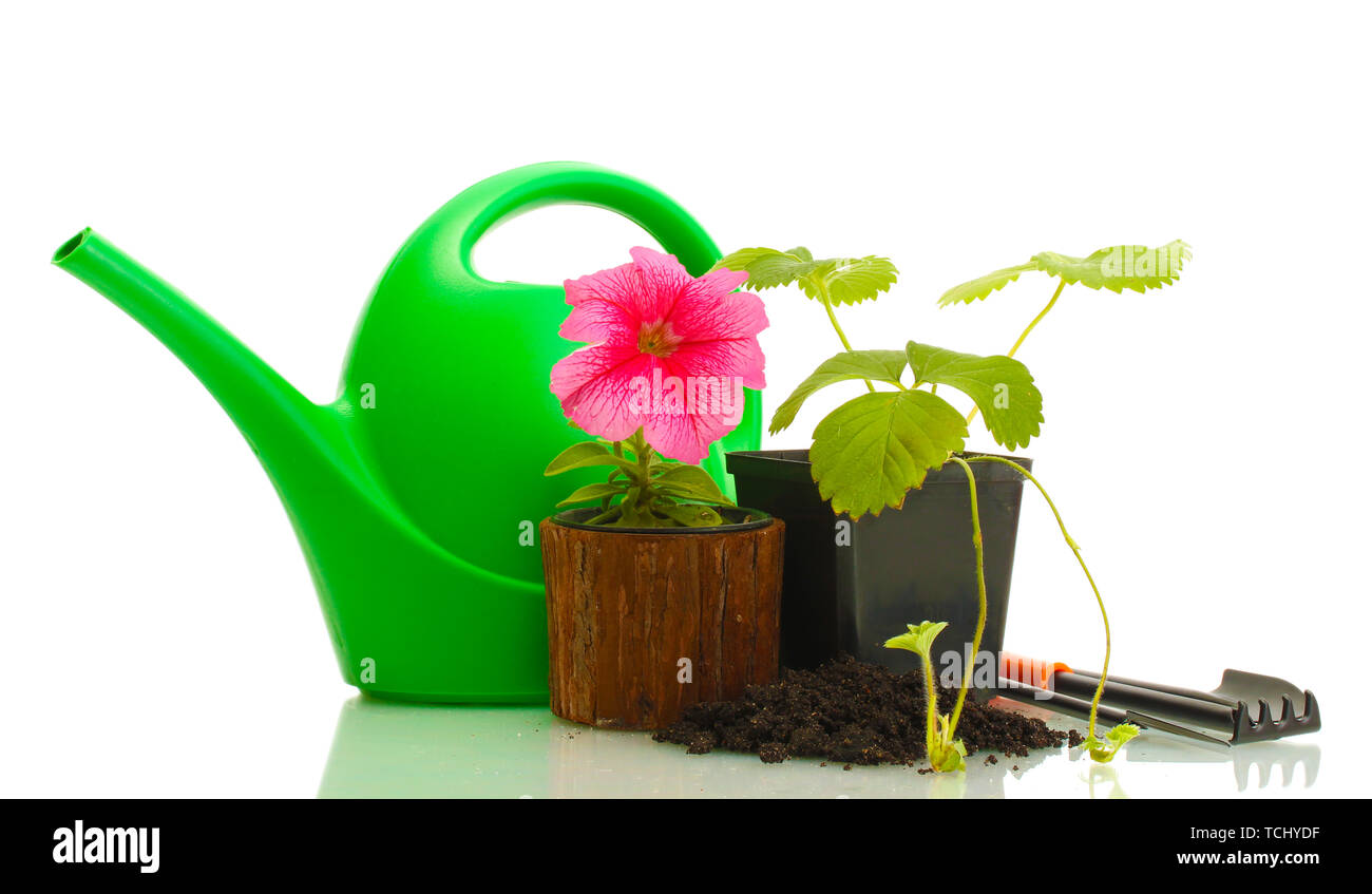 watering can, tools and plants in flowerpot isolated on white Stock ...