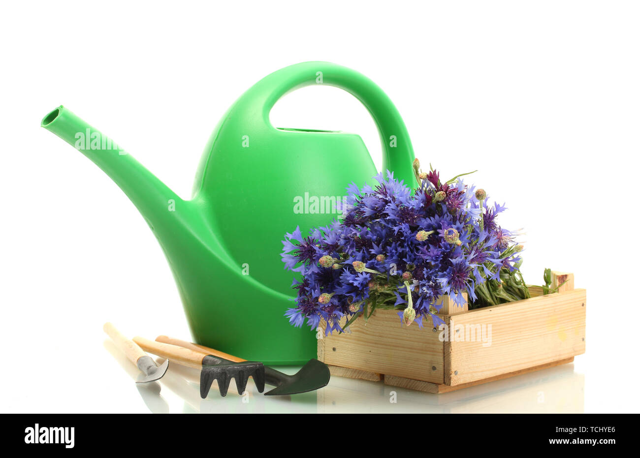 watering can, tools and flowers isolated on white Stock Photo - Alamy