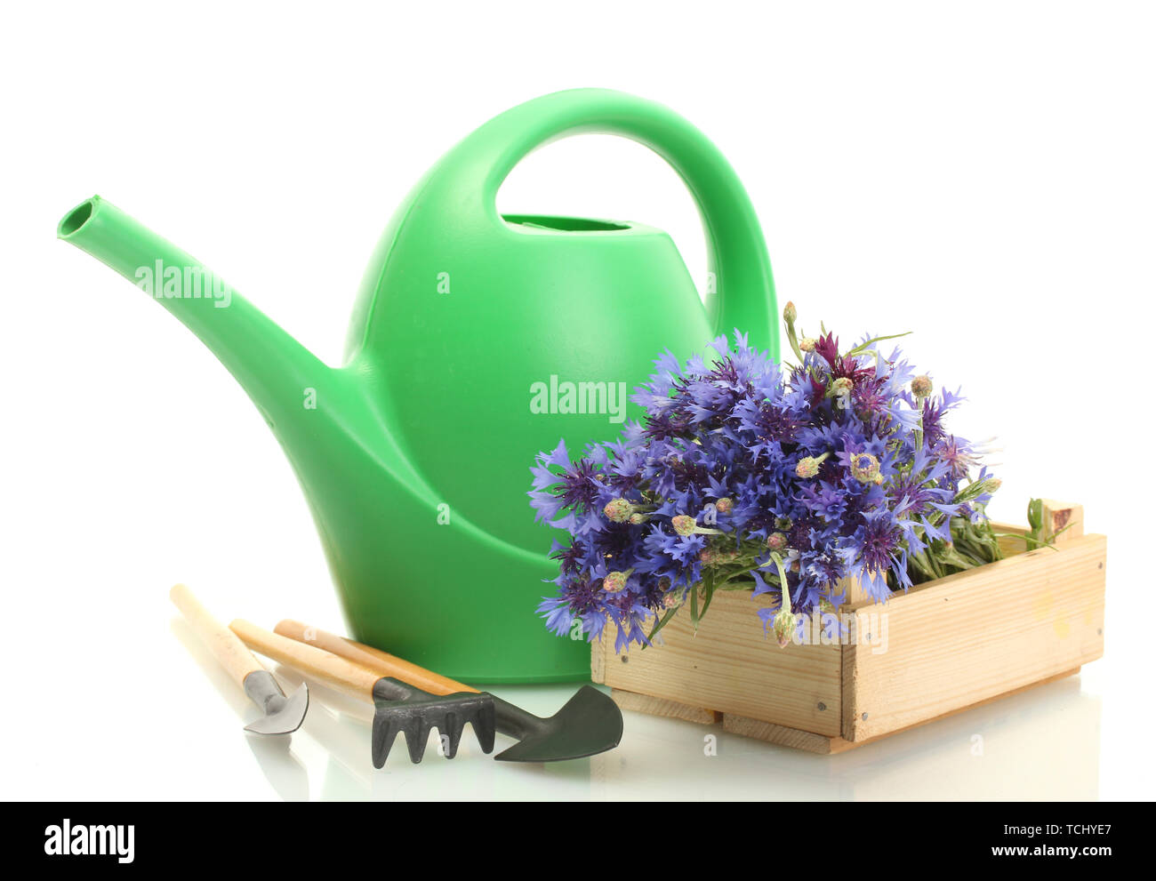 watering can, tools and flowers isolated on white Stock Photo - Alamy