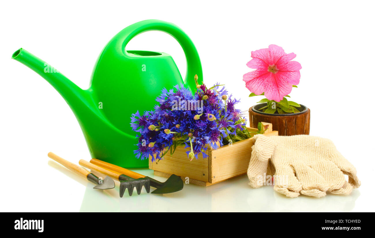 watering can, tools and flowers isolated on white Stock Photo - Alamy