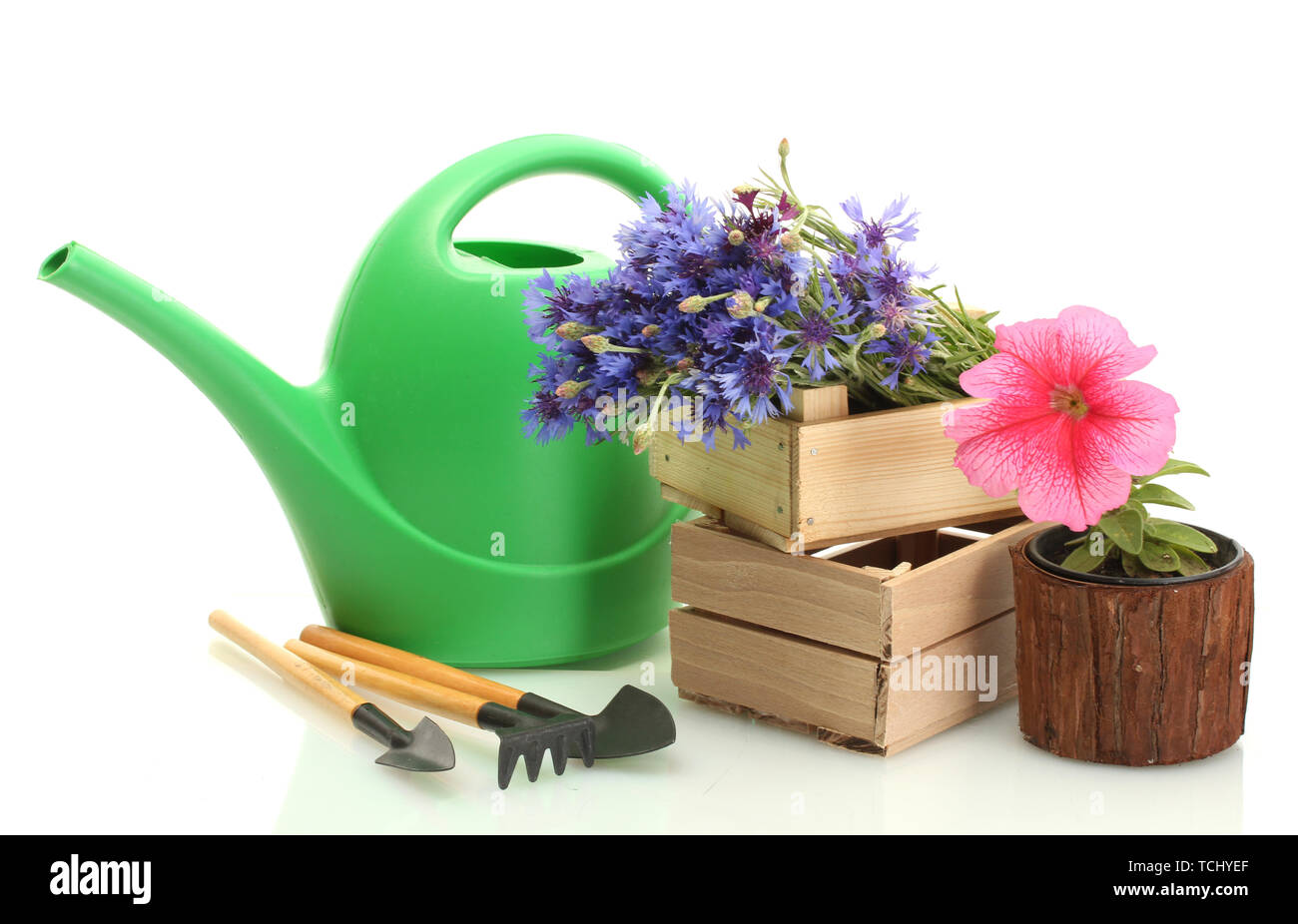 watering can, tools and flowers isolated on white Stock Photo - Alamy