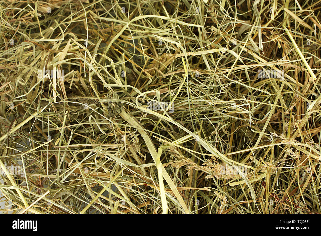 Golden hay texture background close-up Stock Photo - Alamy