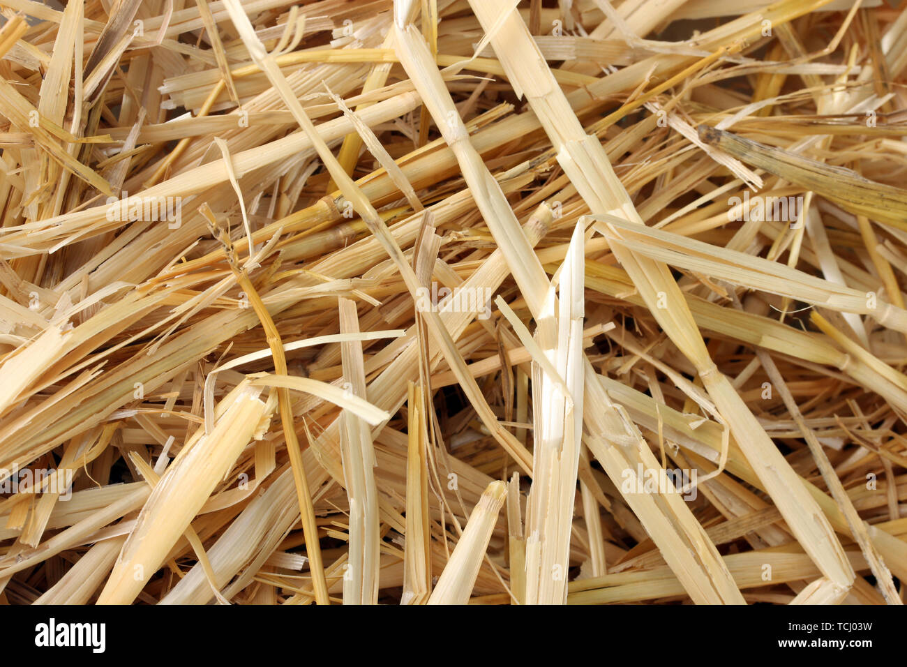 Straw wisp hi-res stock photography and images - Alamy