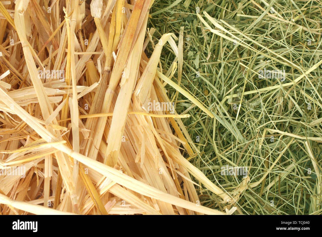 Golden hay and straw texture background close-up Stock Photo - Alamy