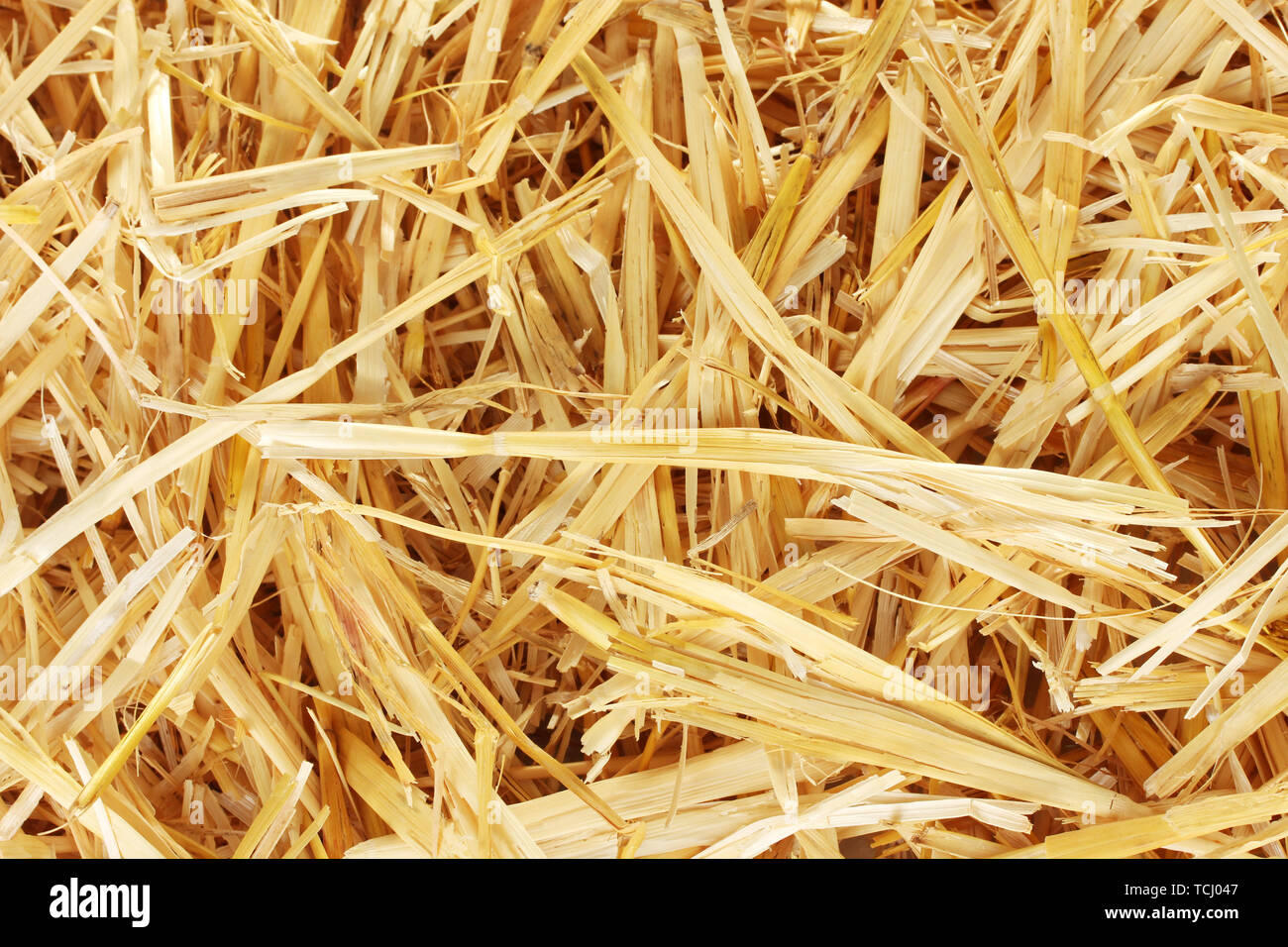 Straw wisp hi-res stock photography and images - Alamy