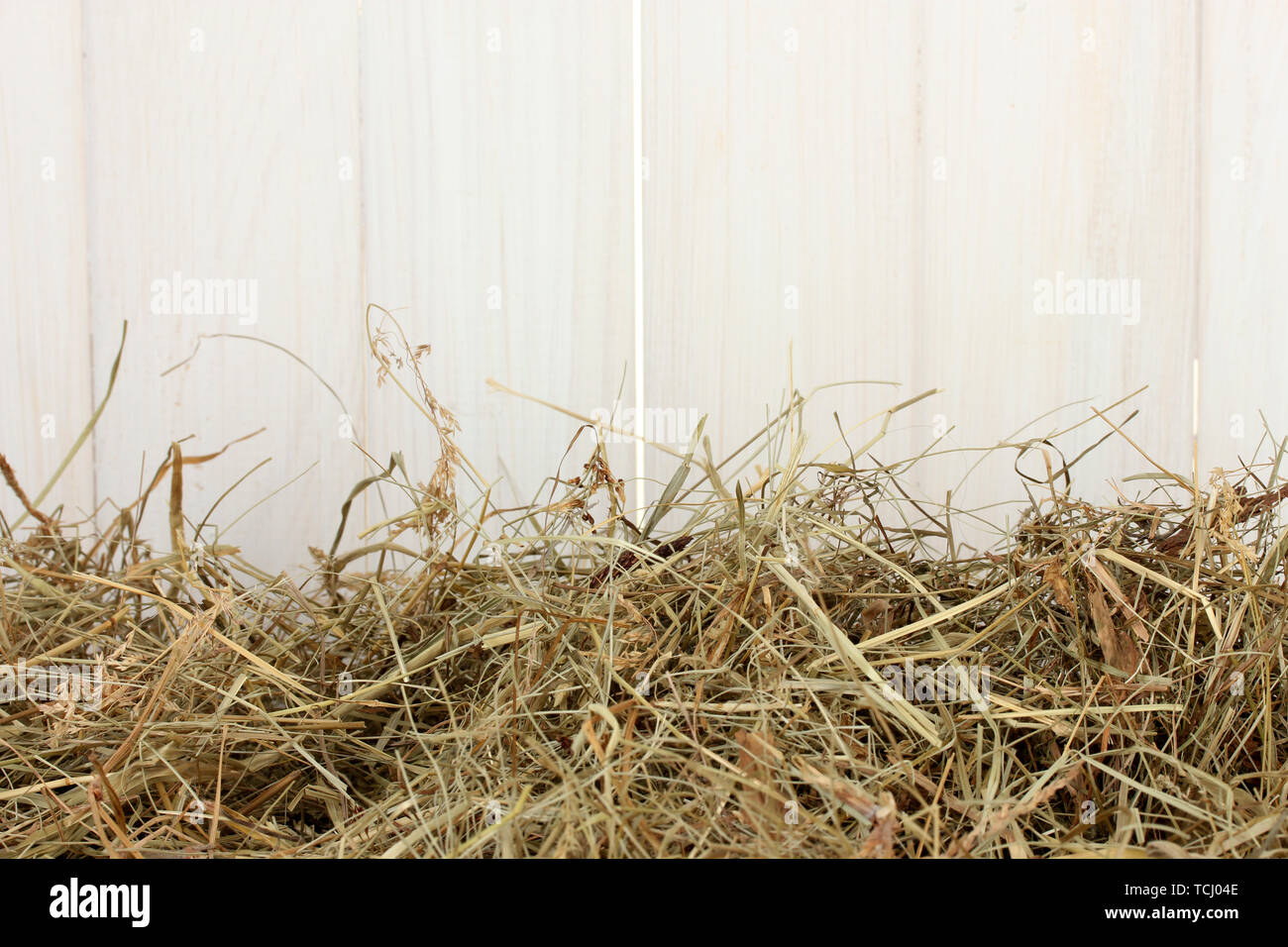 The golden hay against the white barn close-up Stock Photo - Alamy