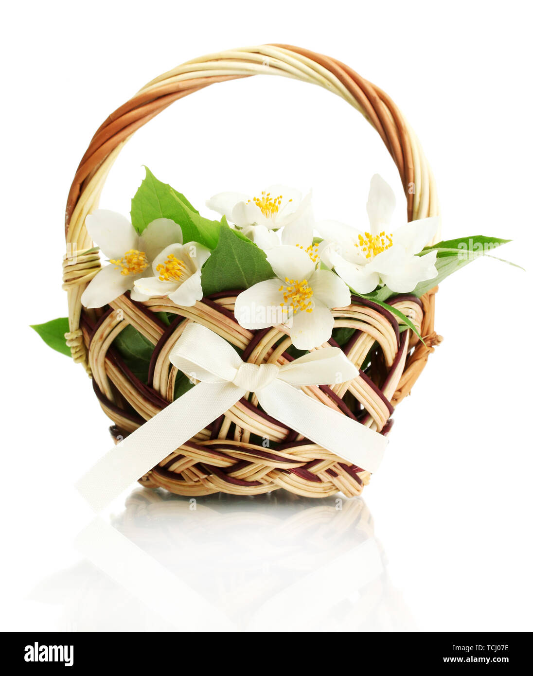 Jasmine plant in bloom Cut Out Stock Images & Pictures - Alamy