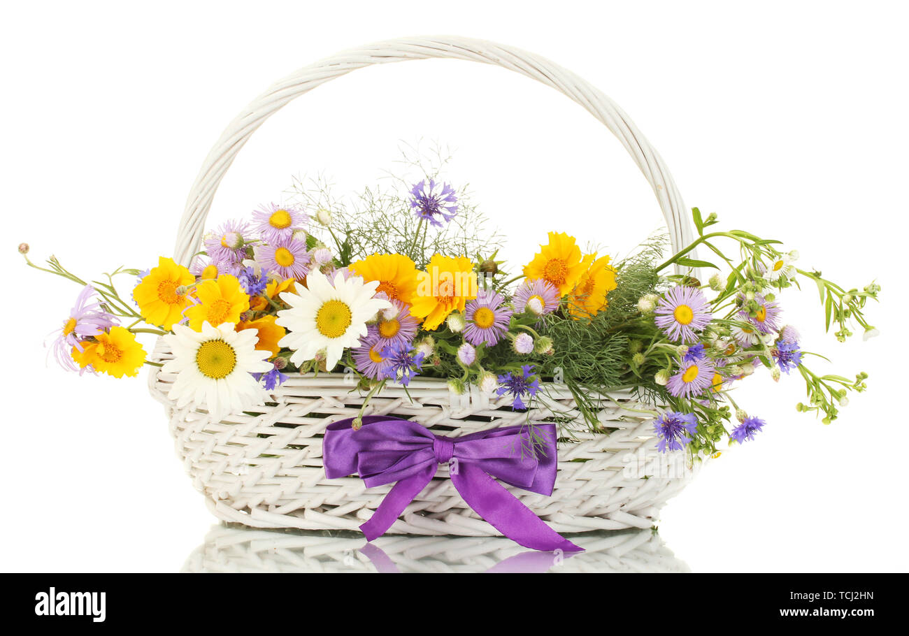 beautiful bouquet of bright wildflowers in basket, isolated on white ...
