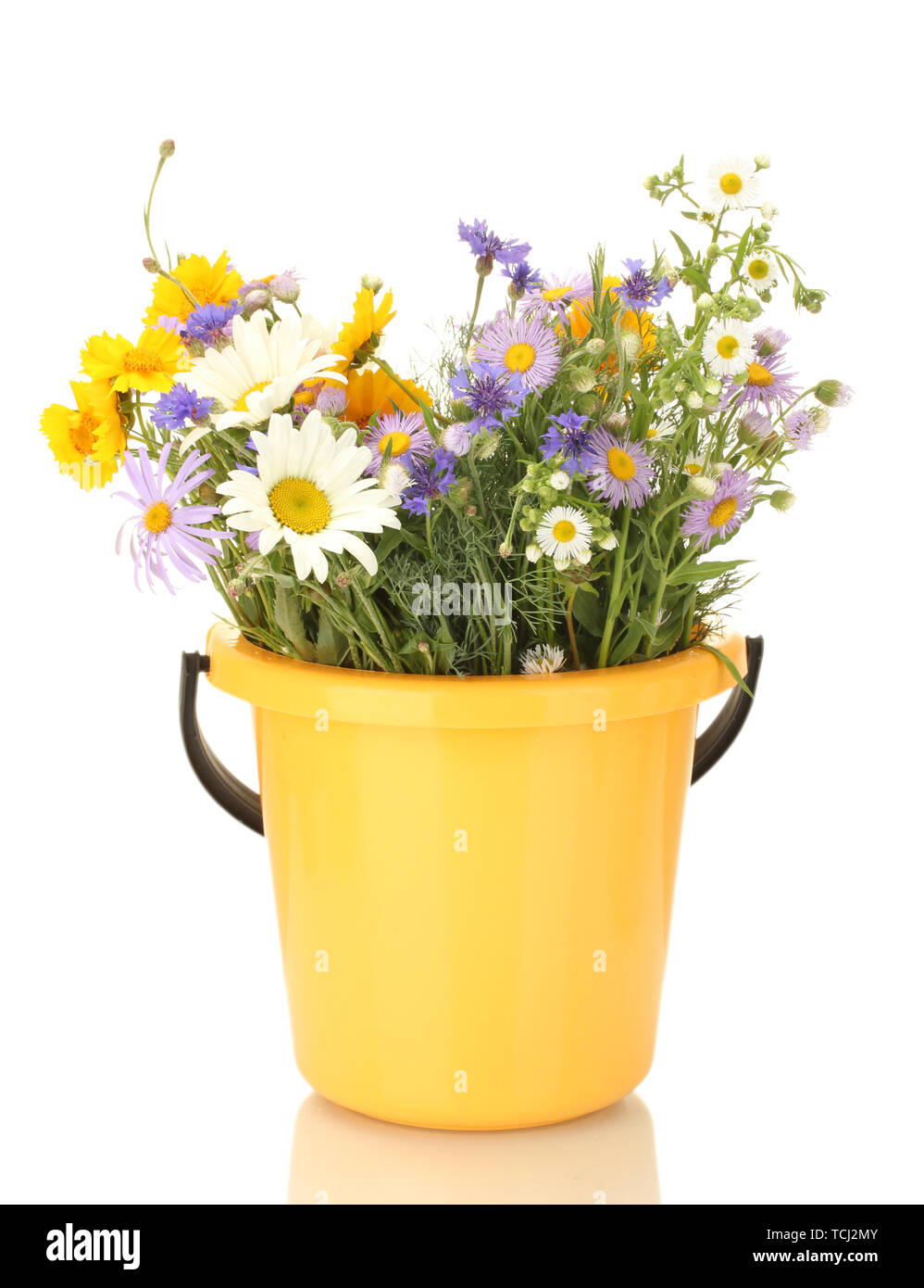 beautiful bouquet of bright wildflowers in bucket, isolated on white ...