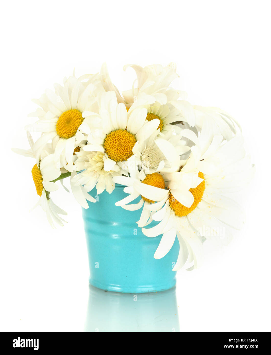 beautiful bouquet of daisy wildflowers in blue metal bucket, on wooden ...